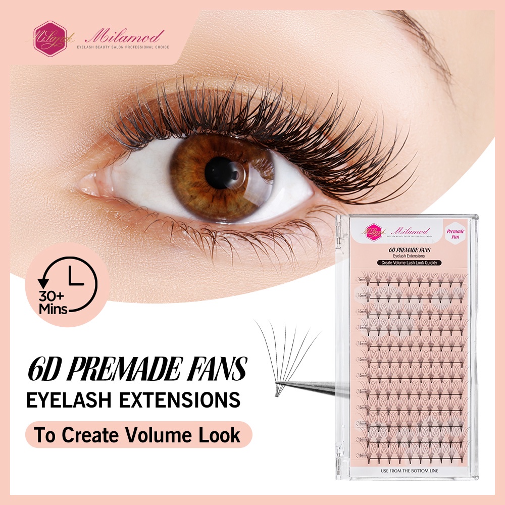 6D Premade Volume fans 0.07 Natural Soft Eyelash Extensions 6D Bouquet ...