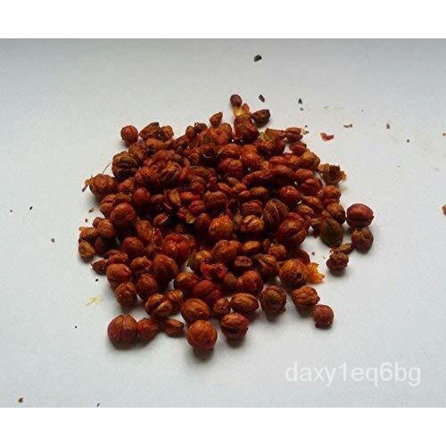 เมล็ด 4 oz Celastrus paniculatus SEED (114G) Intelligence Tree SEED ...
