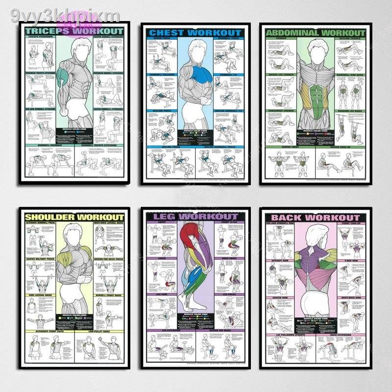 Nt1037 Muscle Bodybuilding Fitness Workout Exercise Poster Prints Wall ...