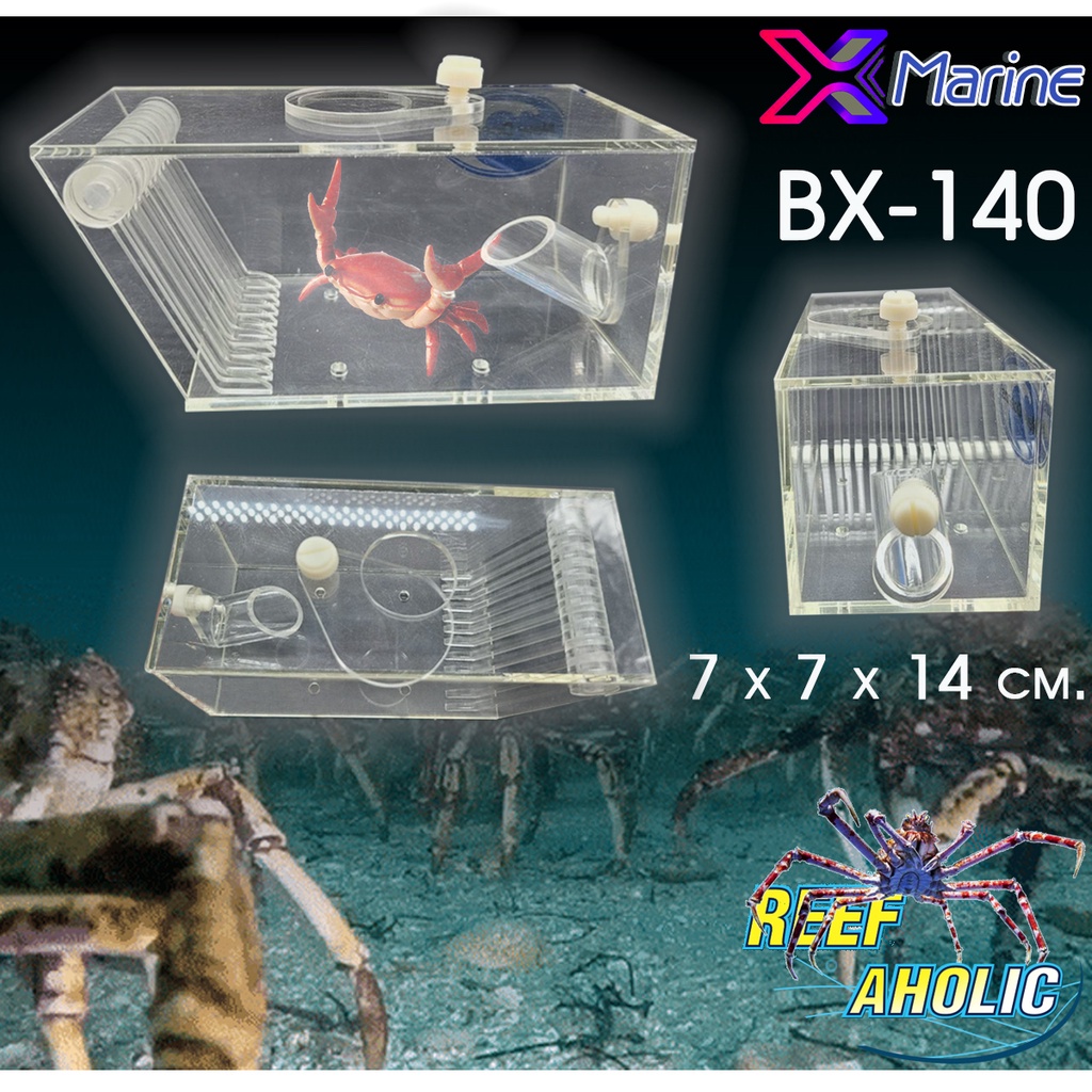 Reef-Aholic X-Marine BX-140 กล่องดักปู ที่จะช่วยกอบกู้สถานการณ์อันเลวร้าย | Shopee Thailand