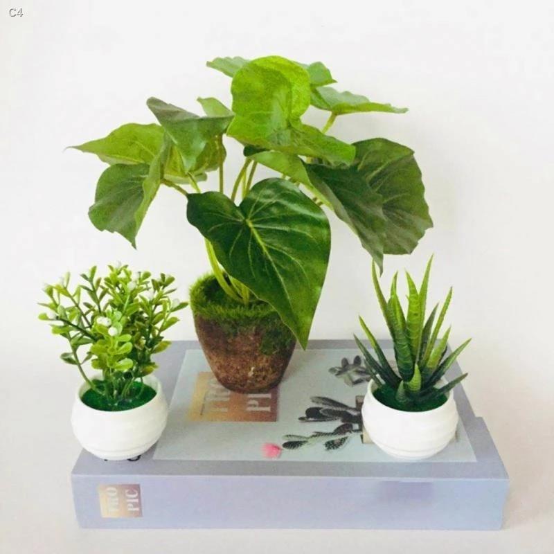 Mini Potted Fake Plants / Plastic Artificial Aloe Plants Bonsai Small ...