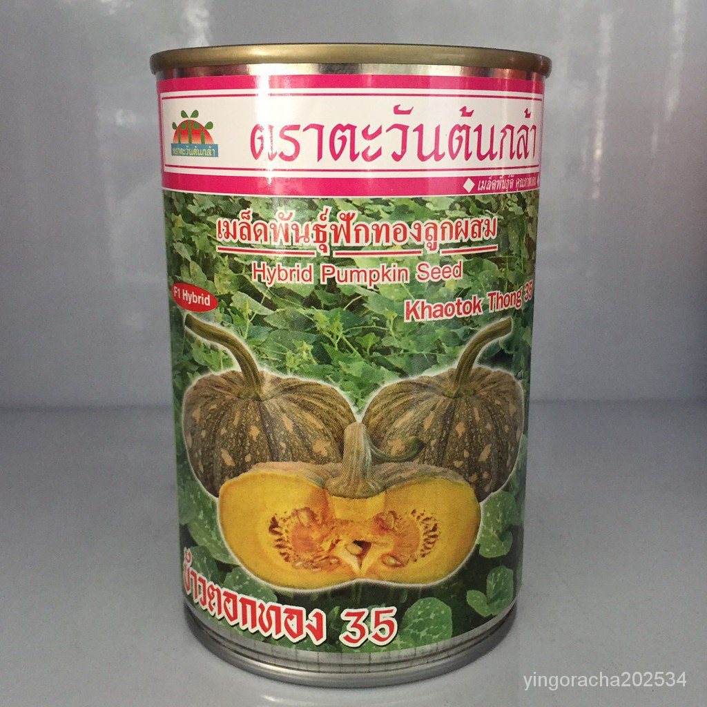 ฟักทองฟักทองหัวกะโหลก35 100G QN60 | Shopee Thailand
