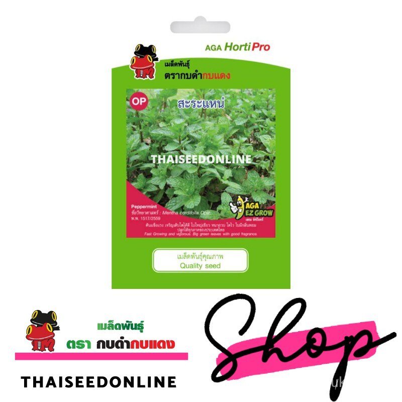 เมล็ด ถูก็ด ซฟ สะระแหน่ไทยใบหอม ขะแยะ (สะแน่) 100 ถูก็ด ตรากบดำกบแดง Lemon Balm Thai Mint ถูก ...