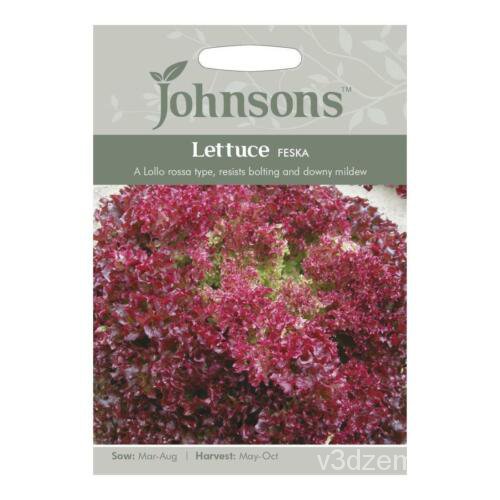 เมล็ด Johnsons เมล็ดผักกาดหอม feika lollo Rossa Type Red Leaves Grow ...