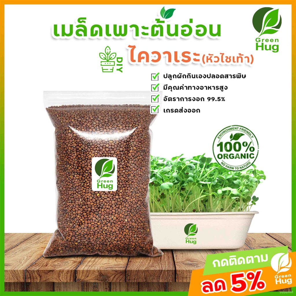 เมล็ด ใหม่็ดไควาเระ (หัวไชเท้า) *500กรัม* ( Kaiware - Radish Seeds 500 g. ) GREENHUG ใหม่็ดเพาะ ...