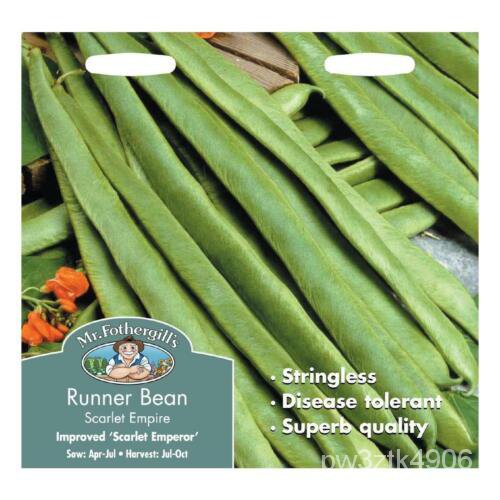 เมล็ด Mr Fothergills Vegetable Seeds Runner Bean Scarlet Empire ...