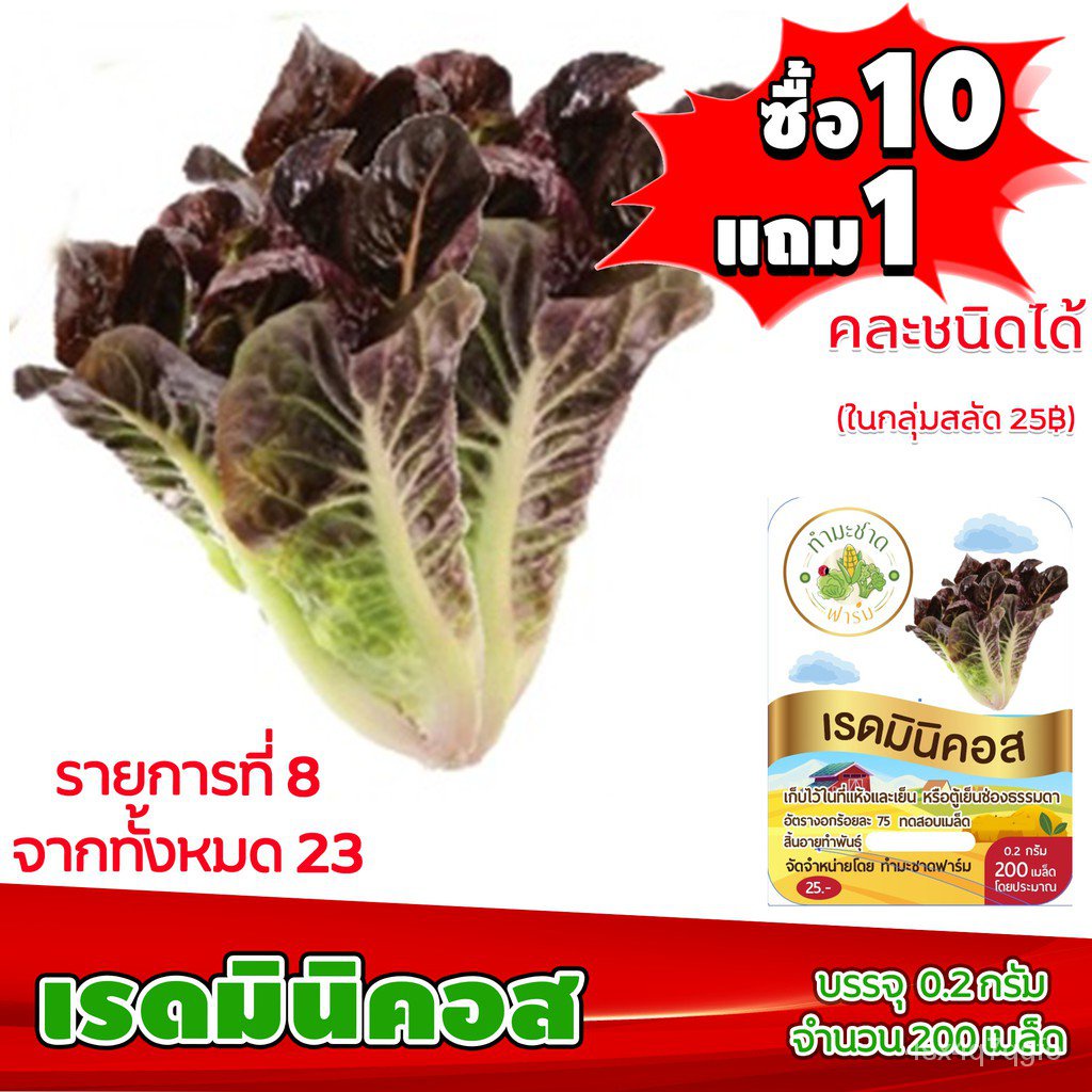 （เมล็ด）[10แถม1 มีคู่มือ] ต้นอ่อน เรดมินิคอส red mini cos ประมาณ 200 ...