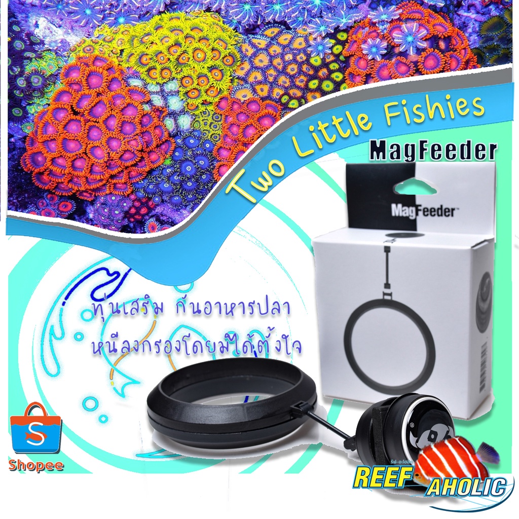 Two Little Fishies MagFeeder ที่รับอาหารปลา ลอยผิวน้ำ แบบแม่เหล็กหนีบ ...