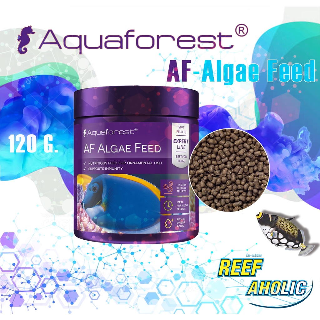 Aquaforest Algae Feed 120g Fish Food อาหารปลา ที่อุดมไปด้วยวิตามินหลายสิบชนิด เน้นๆเลยสำหรับ ...