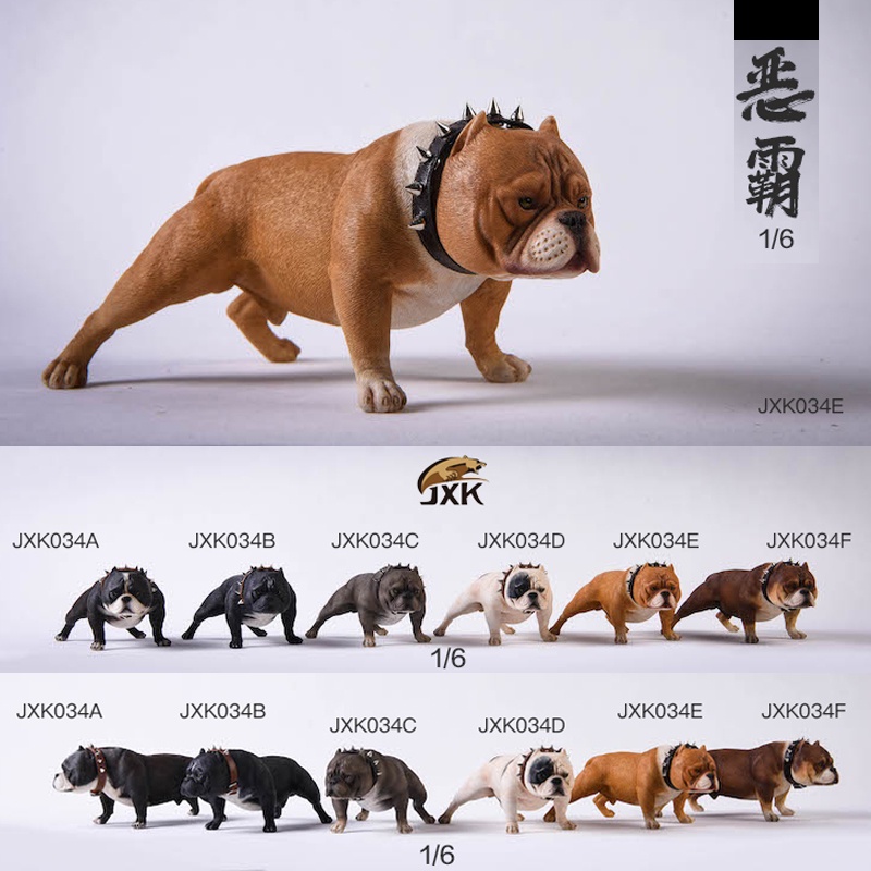 ♘♣Spot JXK 1/6 Bully Dog JXK034 สุนัขสัตว์เลี้ยงสัตว์ตกแต่งเหมาะสำหรับ ...