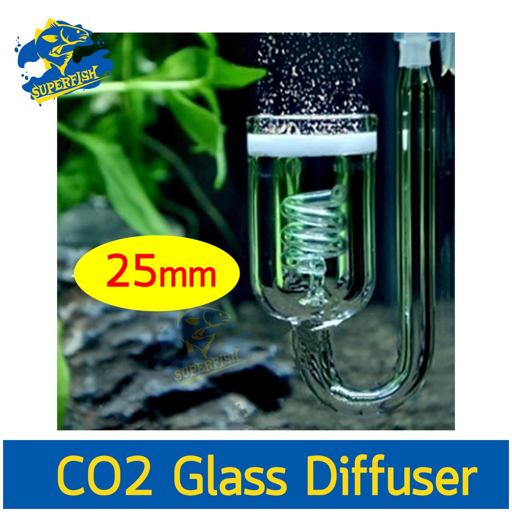 หัวกระจายคาร์บอน ขนาด 25 มม. แบบเกลียว CO2 Glass Diffuser | Shopee Thailand