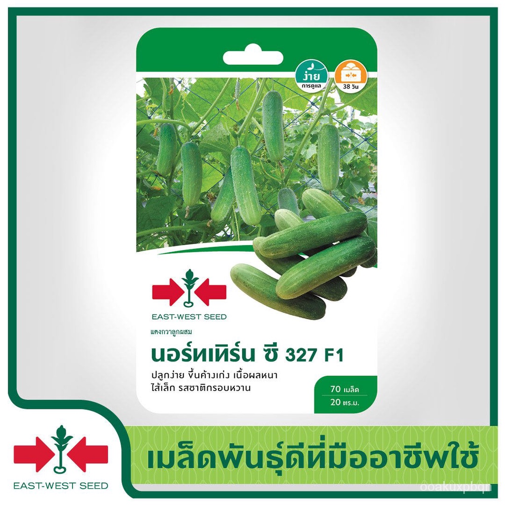 อินทรีย์็ด ใหม่็ด East-West Seed ใหม่ง่ายกวา (Cucumber seeds) นอร์ทเทิร์นซี 327 F1 ใหม่ใหม่ ใหม่ ...