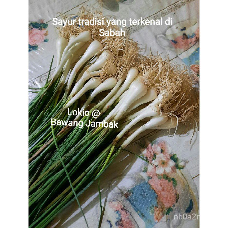[Benih Lokio Aka Bawang Jambak. สต็อกพร้อม Sayur Tradisi Yang Terkenal ...