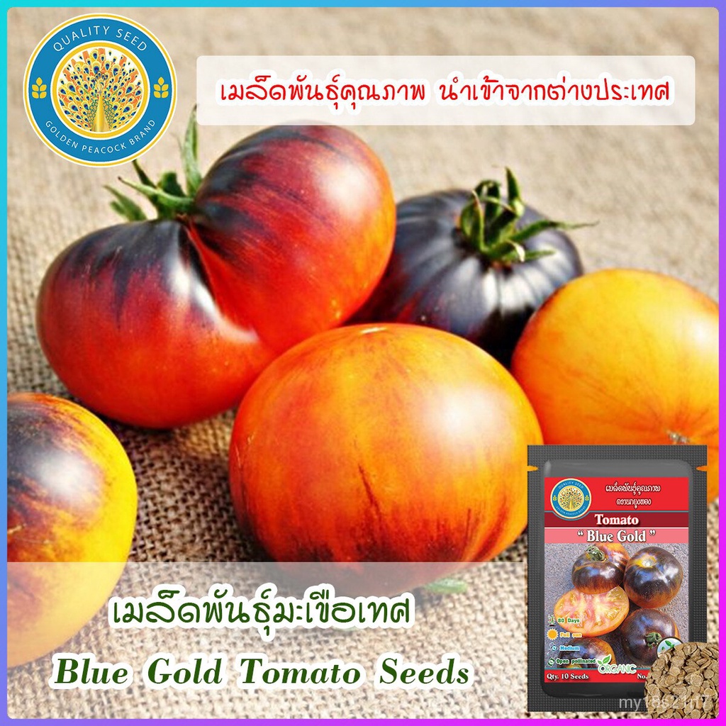 เมล็ด ใหม่็ด ใหม่เพาะเทศ (Blue Gold Tomato Seeds) ใหม่ เพาะ | Shopee ...