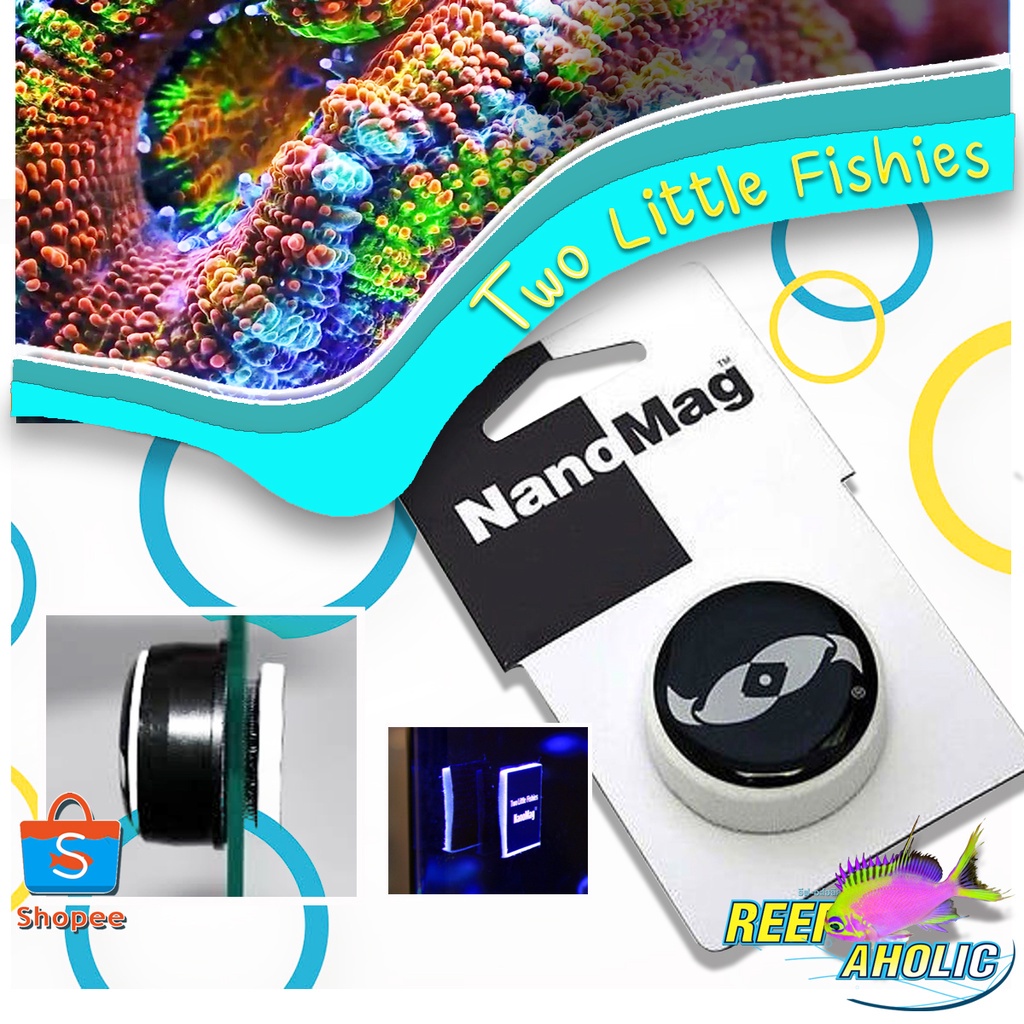 Two Little Fishies NanoMag แม่เหล็กขัดตู้จากอเมริกา ส่วนภาษาจีนคาดว่า ...