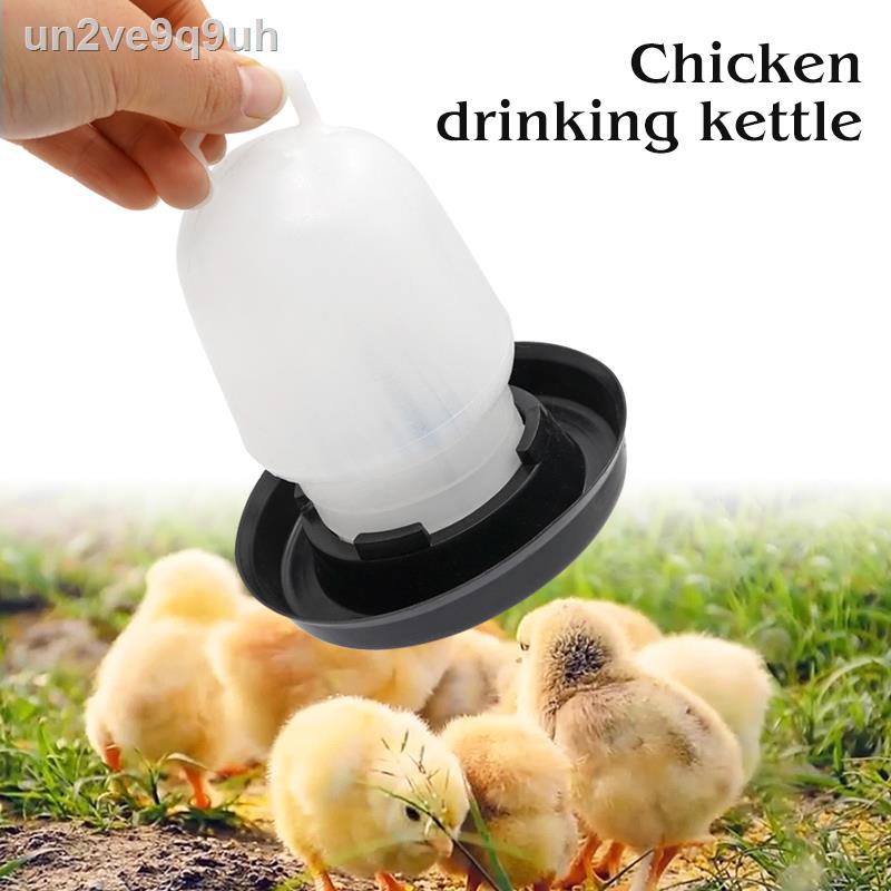 【Ready stock】0.5kg Plastic Poultry Drinker Chick Waterer Hanging ...