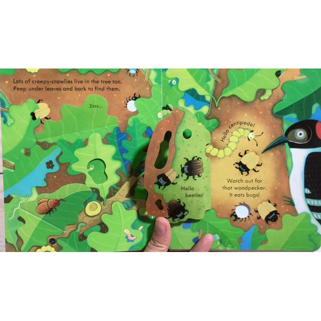 Usborne Peep Inside A Tree English Educational 3D Flap Picture ...