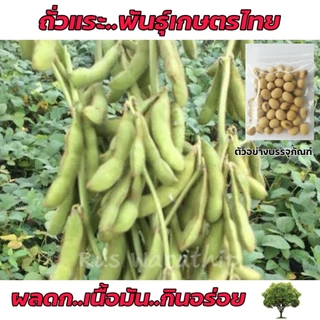 ช้อป ถั่วแระ ราคาสุดคุ้ม ได้ง่าย ๆ | Shopee Thailand