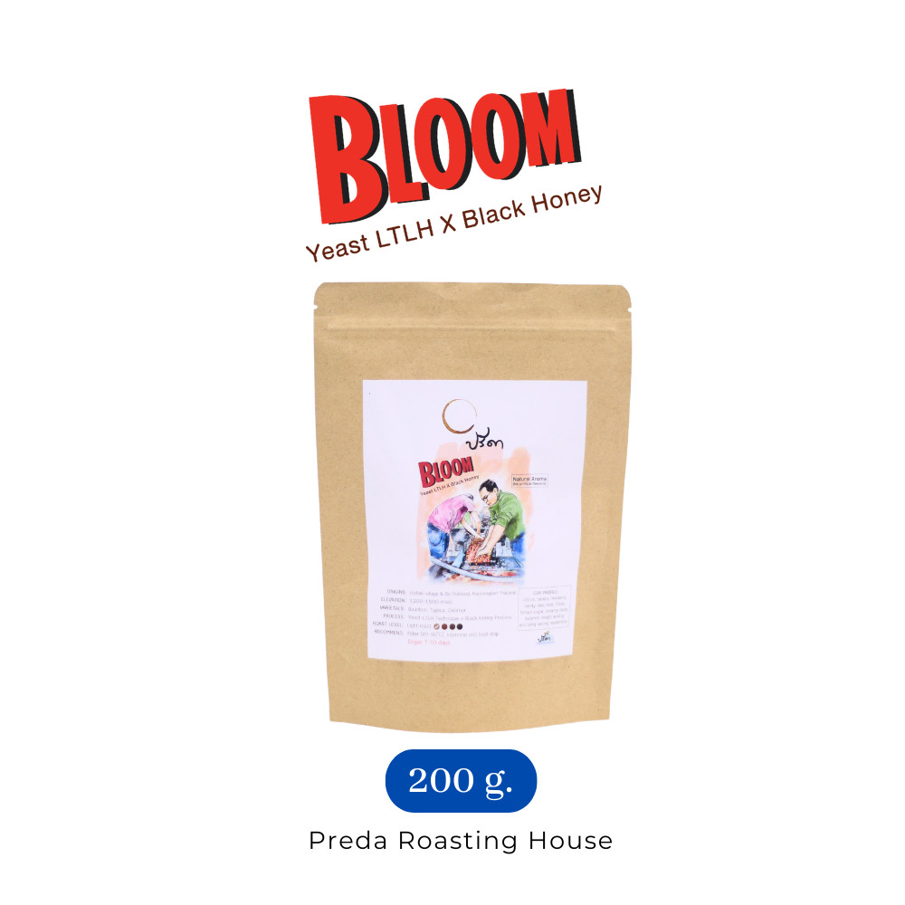 Bloom blend (เมล็ดกาแฟคั่วอ่อน Single Origin) ;200g | Shopee Thailand