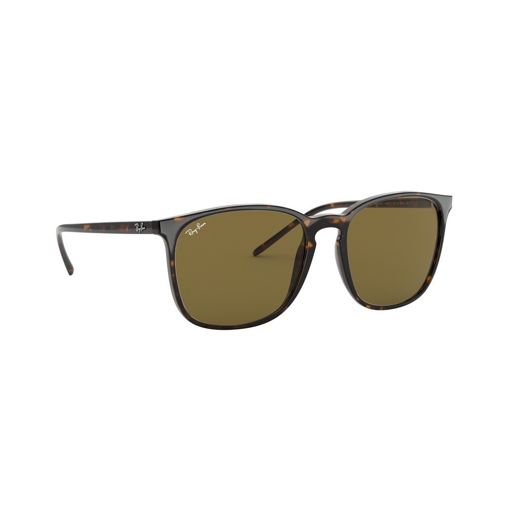 Ray-Ban - RB4387F 902/73 แว่นตากันแดด | Shopee Thailand