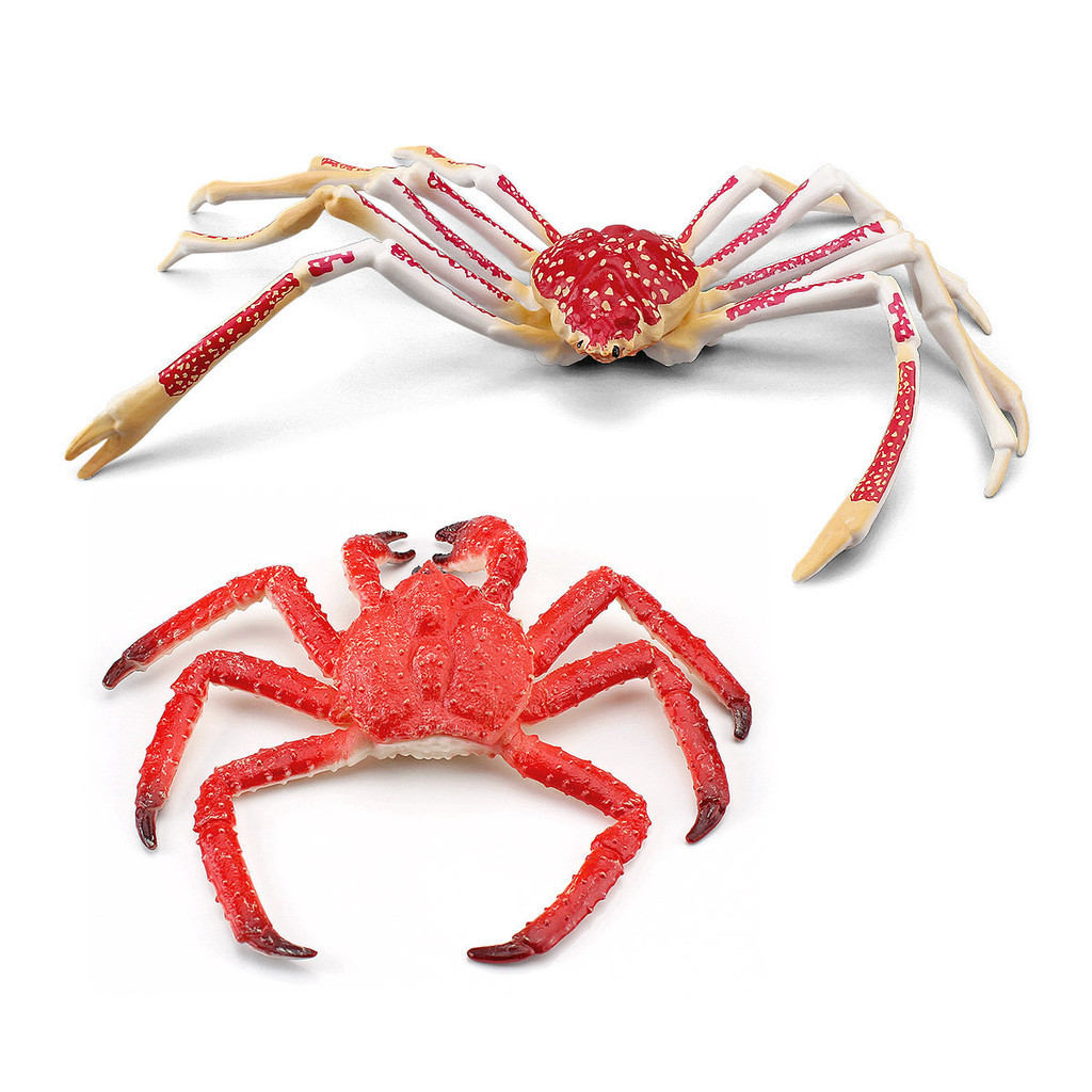 Children's Cognitive Marine Animal Crab Model Simulation King Crab ...