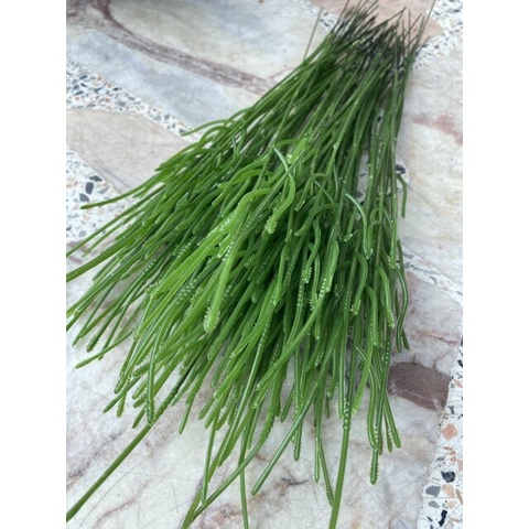 Plastic rod rose 100 stem/pack | Shopee Thailand