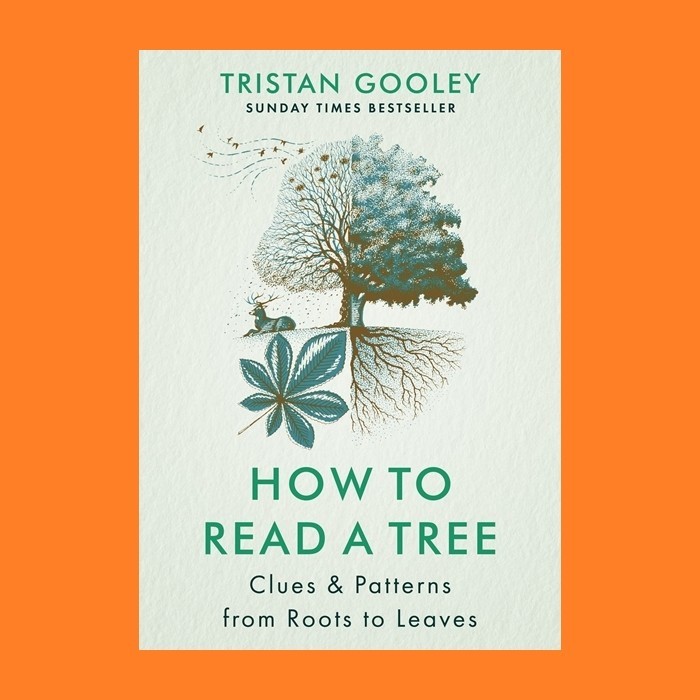 How to Read a Tree (Hardback) | Shopee Thailand