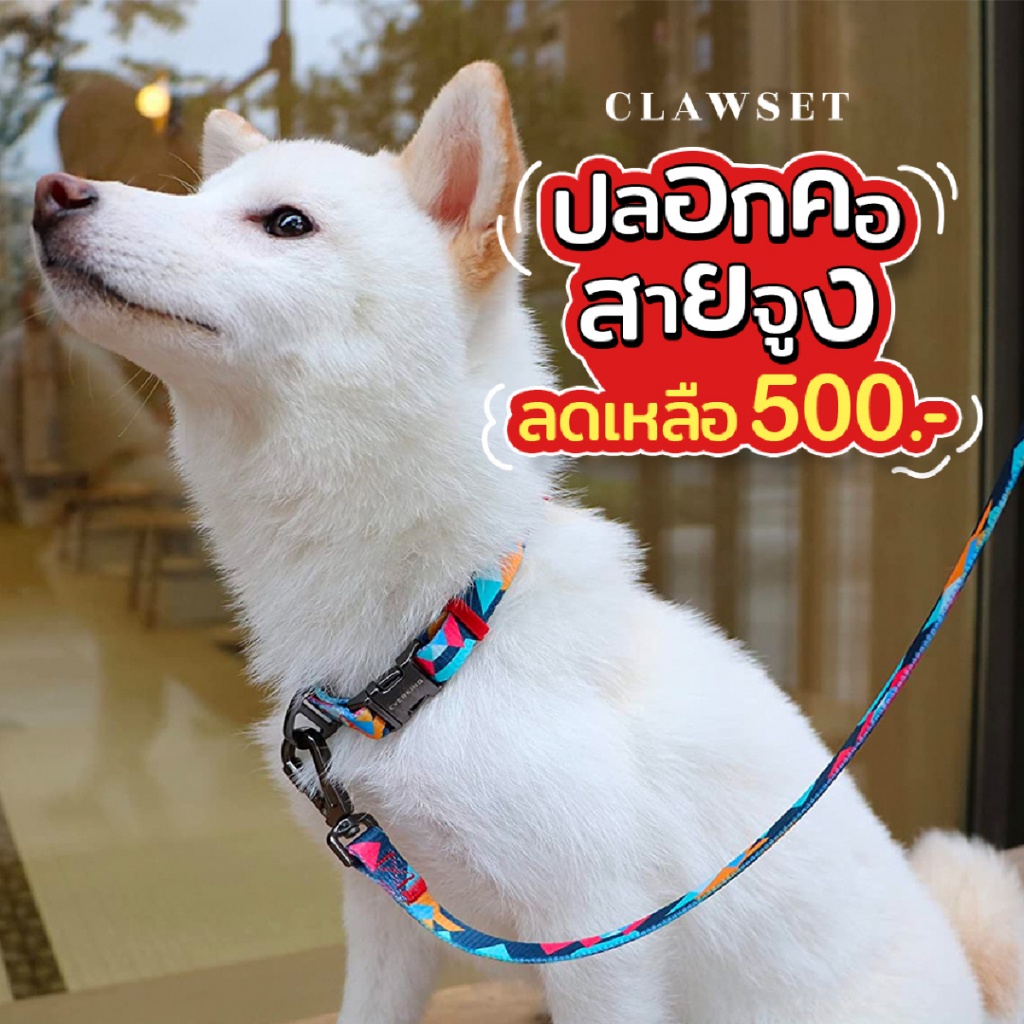 พร้อมส่ง! สายจูงหมา สายจูงแมว ถอดแยกชิ้นได้ | ร้านไอจี Clawset.bkk รีวิวเพียบ | Shopee Thailand