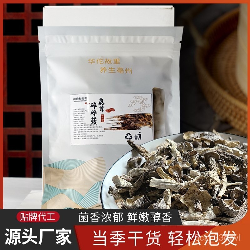 ซุปเห็ดเขากวาง เห็ดเขากวางหม้อไฟพิเศษเห็ดสด PFCT | Shopee Thailand