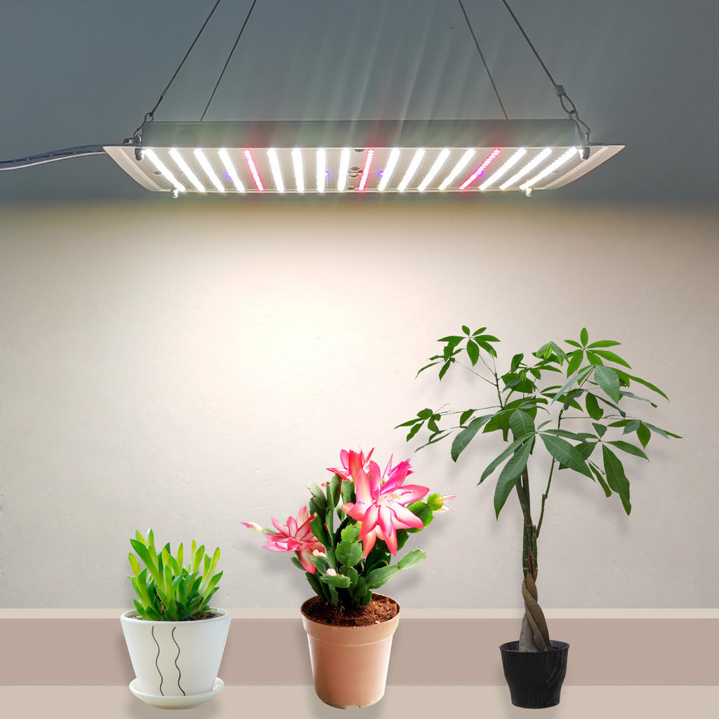 Liweida top light smd led seed grow kit 100w grow light full spectrum ...