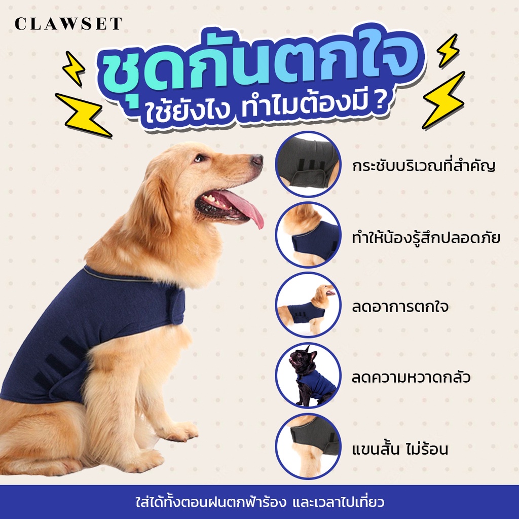 พร้อมส่ง !! เสื้อกันตกใจ เสื้อกันเสียงฟ้าร้องสำหรับสัตว์เลี้ยง หมา แมว | ไอจีร้าน Clawset BKK ...