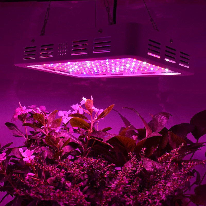 Indoor LED Grow Light 1200W 1000W 800W LED Plant Growth Lamp | Shopee ...