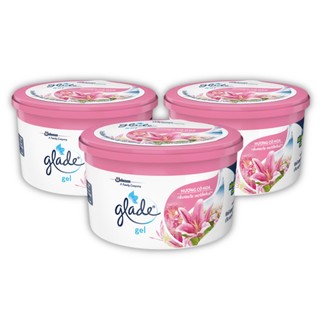 Glade Mini Gel Air Freshener Car Floral Perfection Freshener 70g Pack 3 ...