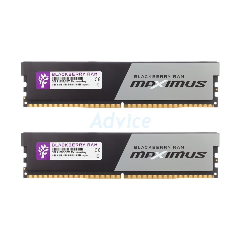 BLACKBERRY RAM DDR5(5200) 32GB (16GBX2) MAXIMUS GRAY - A0159106 ...