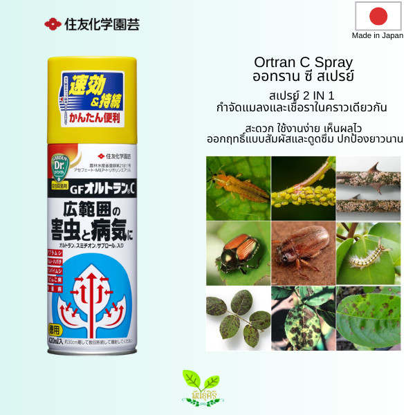 Ortran C Spray ออทราน ซี สเปรย์ สเปรย์ 2 IN 1 กำจัดแมลงและเชื้อราในคราว ...