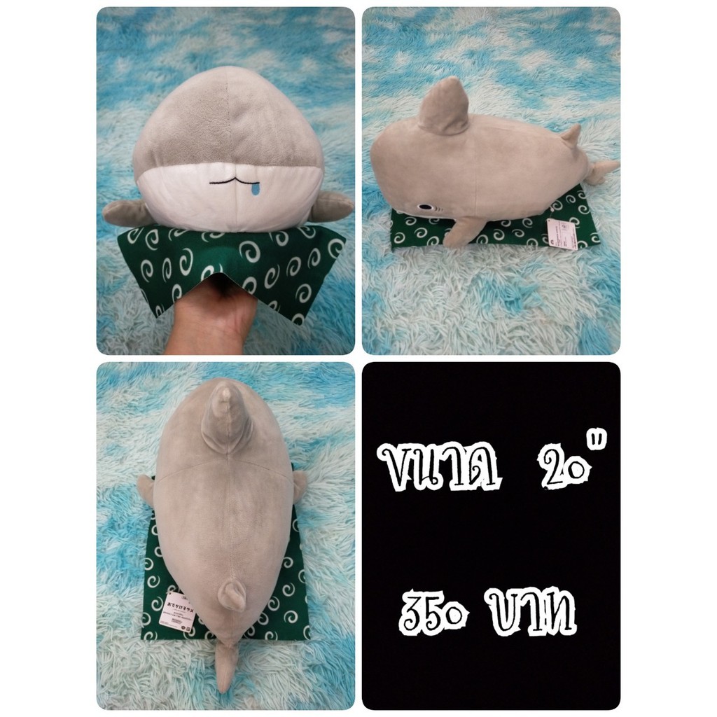 Odekake Kozame#Little Shark's Outings#Sleepy Baby Shark#ฉลาม#ปลา#ป้าย ...