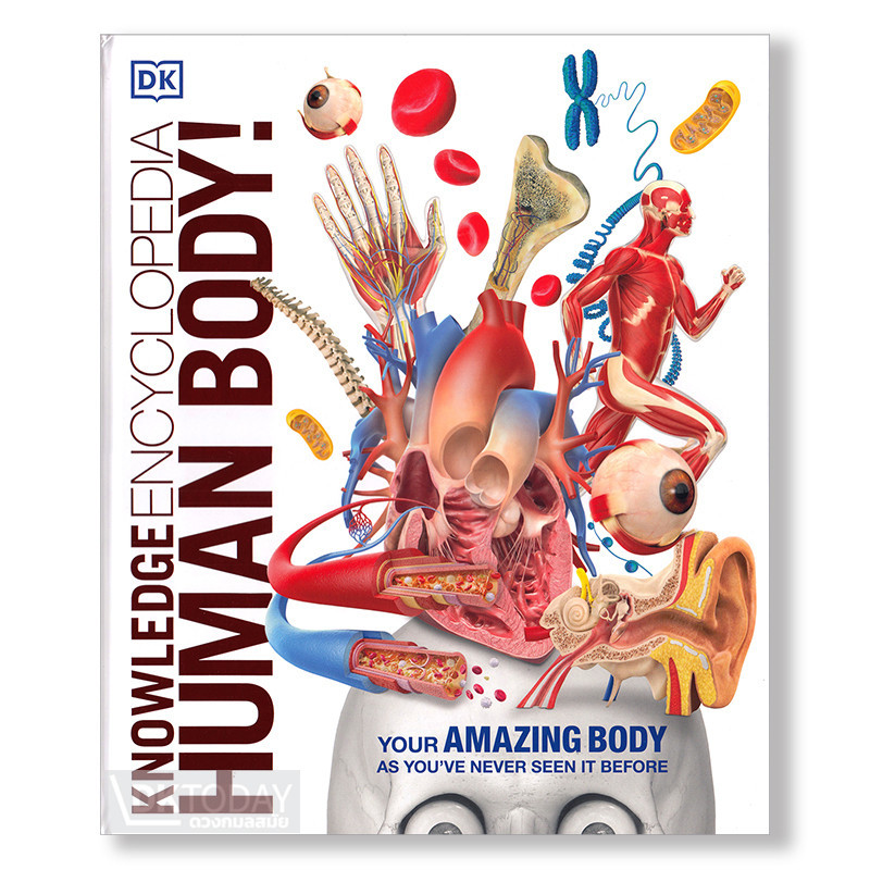 DKTODAY หนังสือ KNOWLEDGE ENCYCLOPEDIA HUMAN BODY (DORLING KINDERSLEY ...
