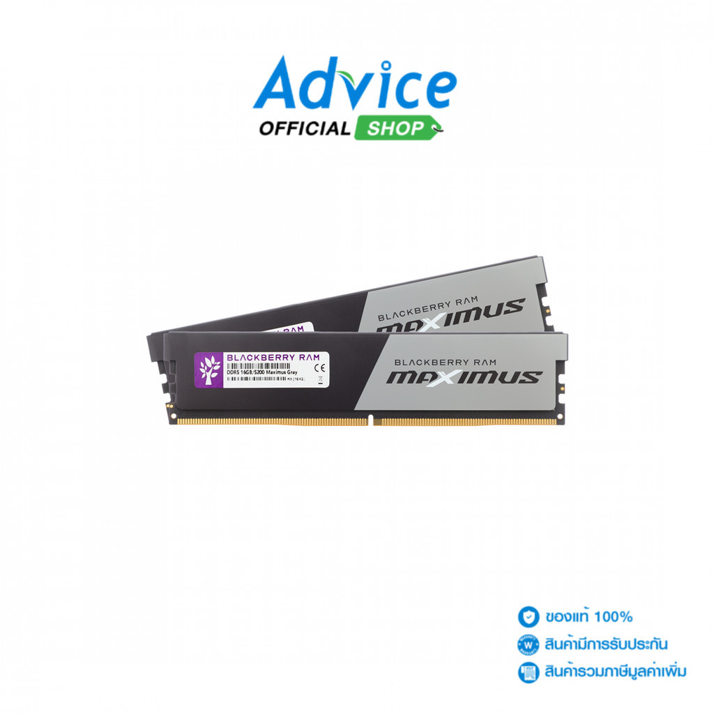 BLACKBERRY RAM DDR5(5200) 32GB (16GBX2) MAXIMUS GRAY - A0159106 ...
