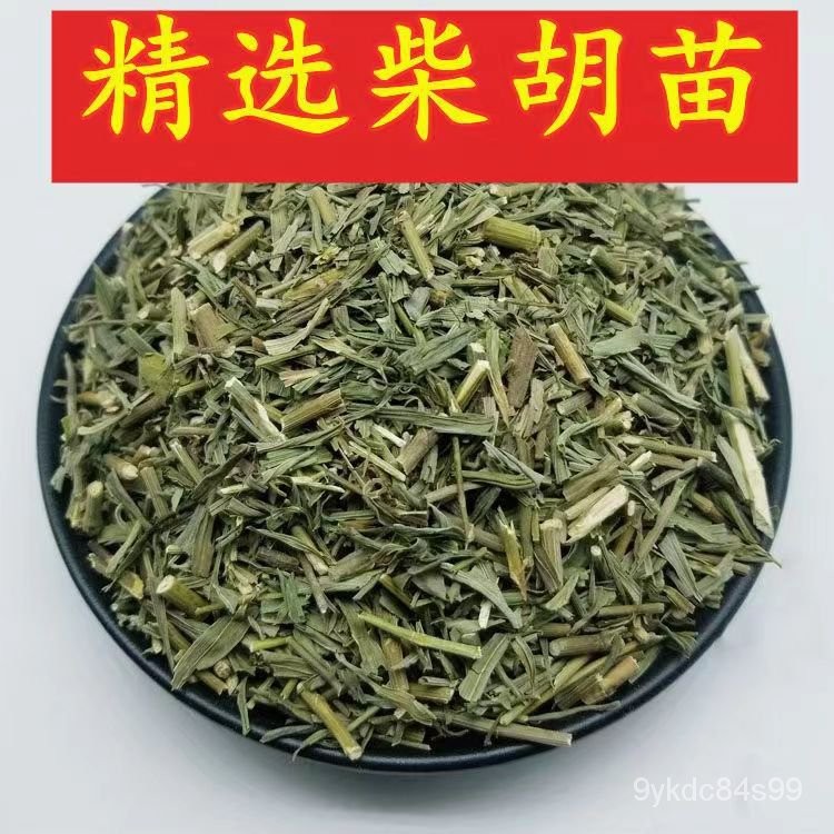 Bupleurum Miao ใบไผ่ Bupleurum สินค้าใหม่ Sichuan Bamboo Leaf Bupleurum ...