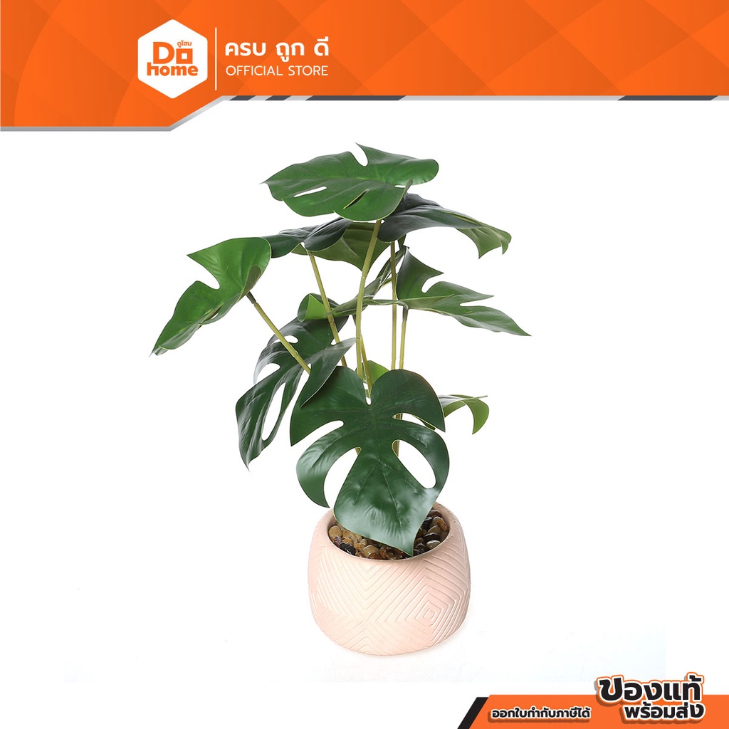 ต้นไม้เทียม มอนสเตอร่า 40 ซม. รุ่น NAL21-3413 |T| | Shopee Thailand