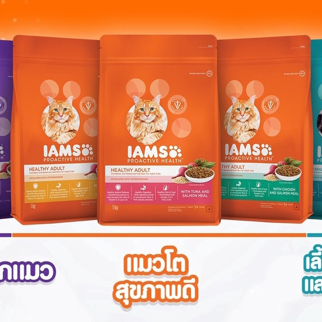 รสชาติใหม่!! IAMS PRO ACTIVE HEALTHY CAT FOOD DRY 1 kg ไอแอมส์ โปร ...