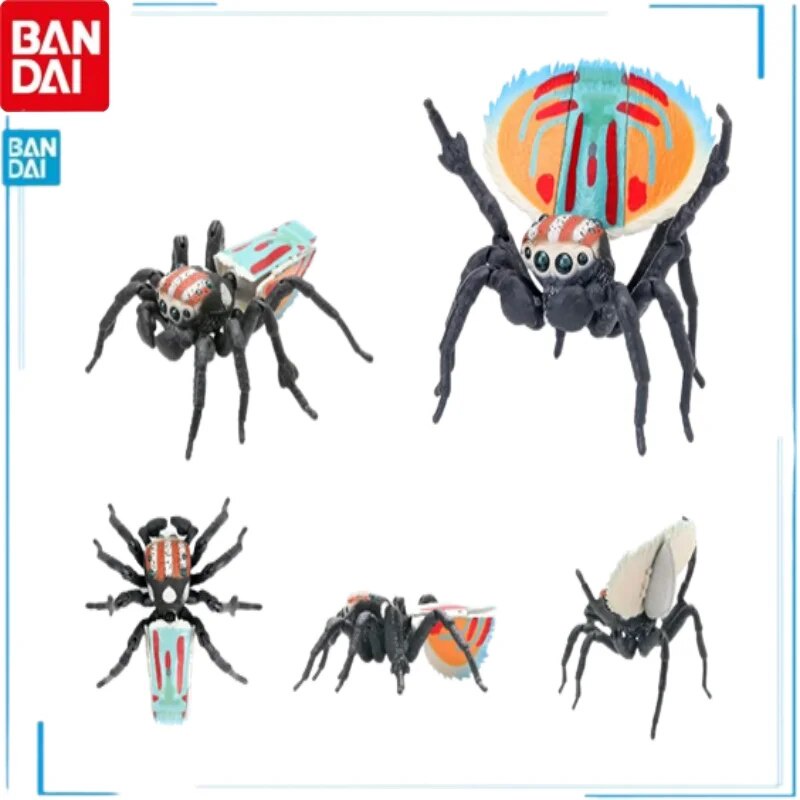 98I Bandai Gashapon Simulated Peacock Spider Biology Atlas Series ...