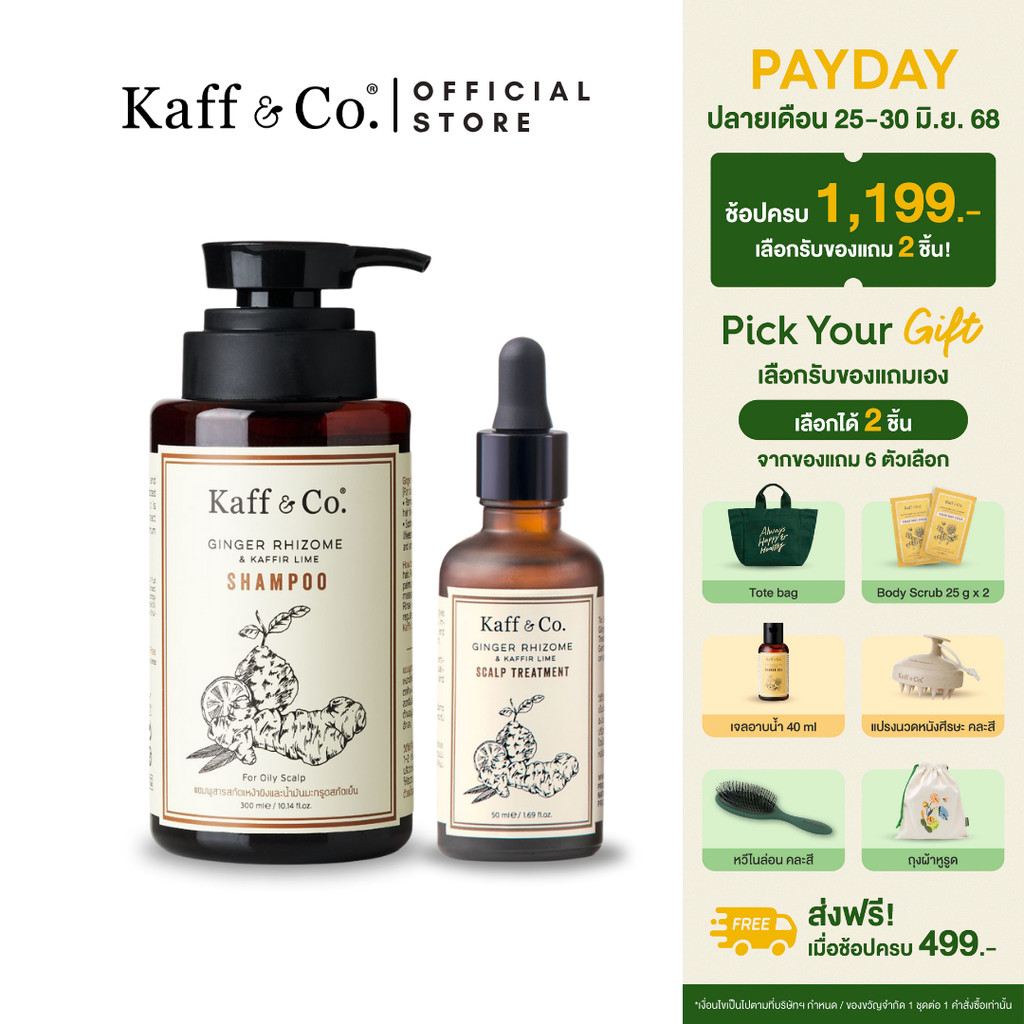 Kaff & Co. ชุดคู่ ดูแลหนังศีรษะมัน ลดผมร่วง ผมลีบ แบน มีกลิ่นอับ แชมพูขิง & ทรีทเม้นท์ขิง ...