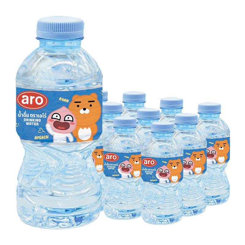 เอโร่ น้ำดื่ม 250 มล. x 12 ARO Drinking Water 250 ml x 12 | Shopee Thailand