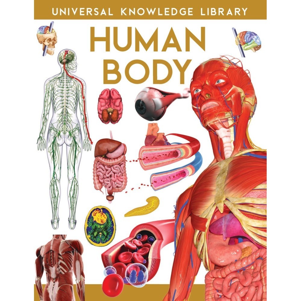 BBW หนังสือ Universal Knowledge Library: Human Body ISBN: 9788119307234 | Shopee Thailand