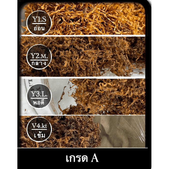 ยา อบ เส้น เกรดA รุ่นY1,Y2,Y3,Y4 ใช้ไล่แมลงหรือกำจัดศัตรูพืชได้ ขนาด 1ถุง 100กรัม เลือกได้ ...