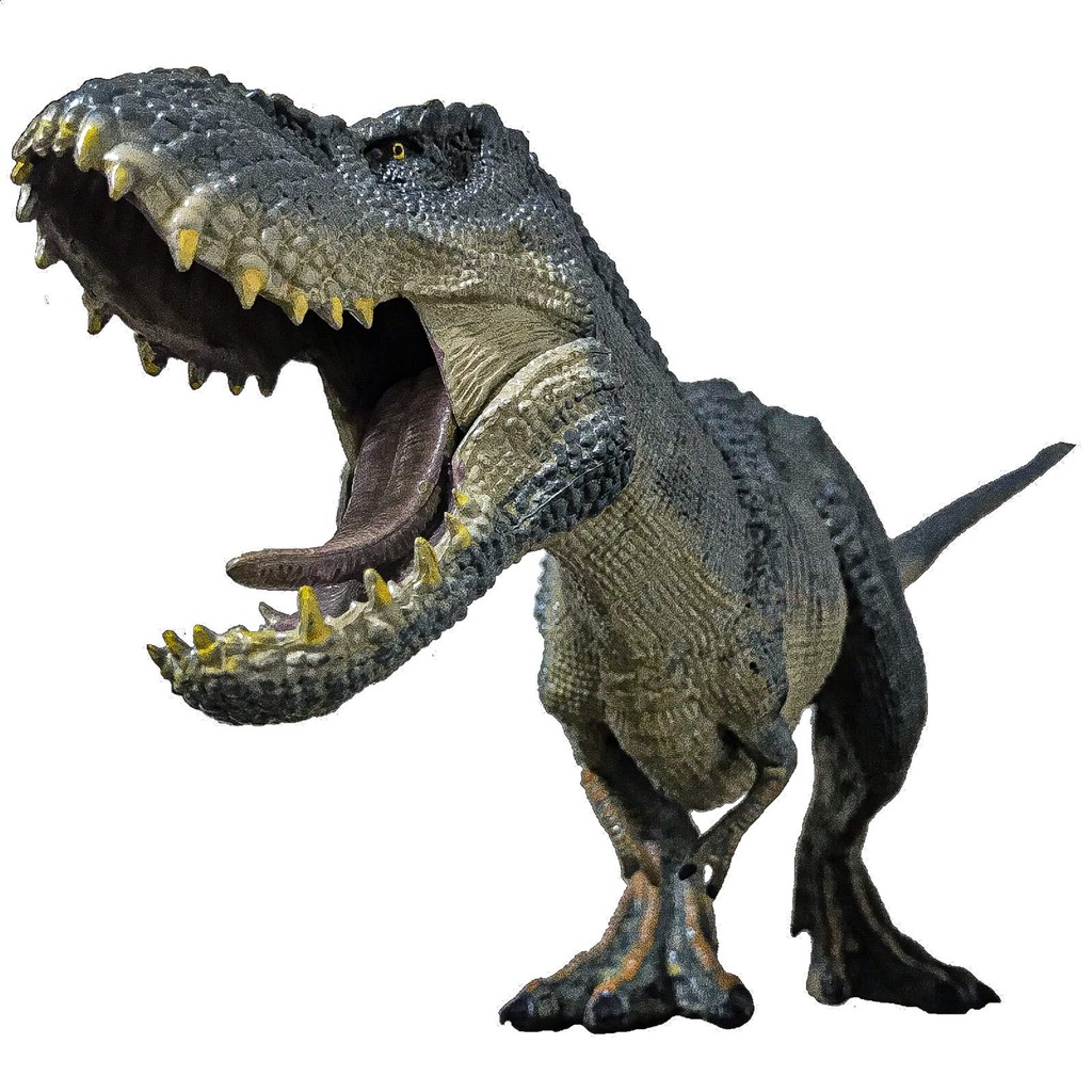 [นำเข้าจากประเทศญี่ปุ่น] MONOW รูปไดโนเสาร์ Tyrannosaurus ของเล่นยักษ์ ...