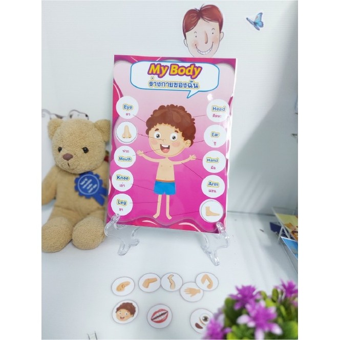 สื่อตัวติดตีนตุ๊กแก My Body | Shopee Thailand