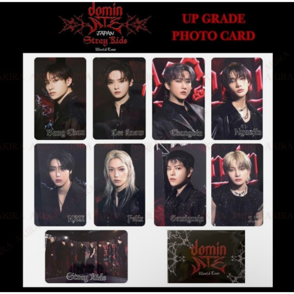 STRAY KIDS WORLD TOUR dominATE JAPAN dominATE SHEET 樂 UPGRADE OFFICIAL PHOTO CARD / BANGCHAN LEE ...