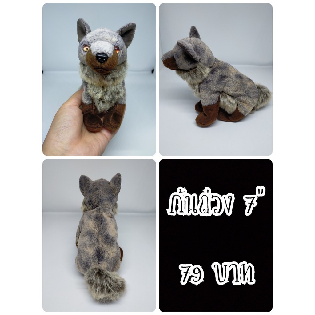 Howl the Wolf#Ty Beanie Baby#หมาป่า#ก้นถ่วง#ป้ายตัด#ตุ๊กตาญี่ปุ่นมือสอง ...